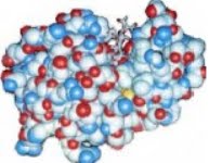 Kesihatan / Health: Apa Itu Enzim..-What Are Enzymes,