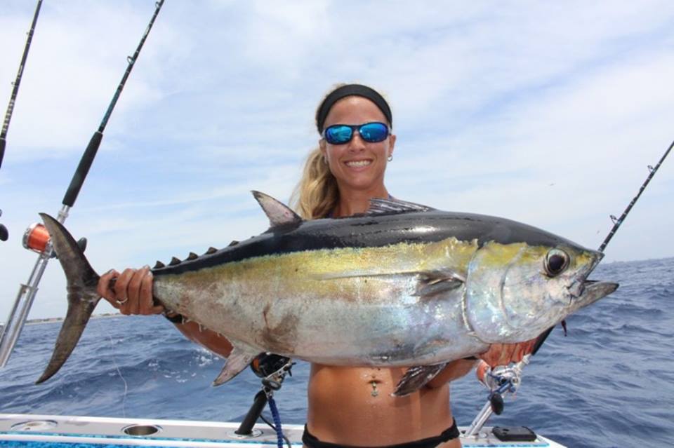 A View from the Beach: Holy Mackerel, A New Use for Fish!