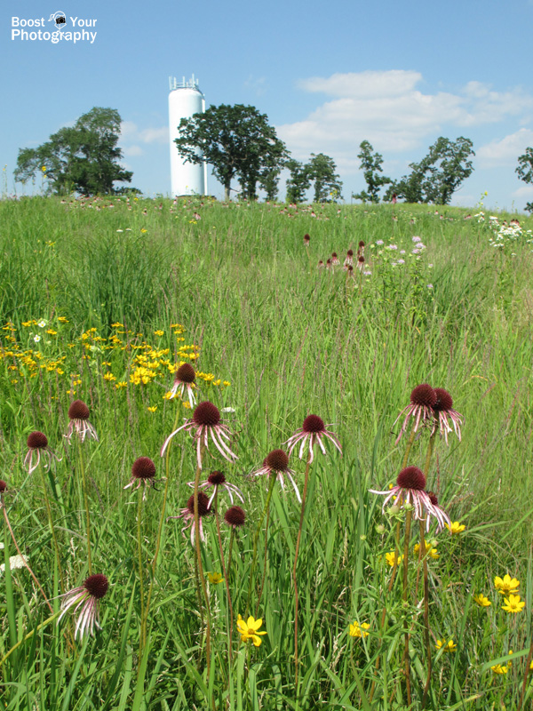 Composition: Orientation | Boost Your Photography