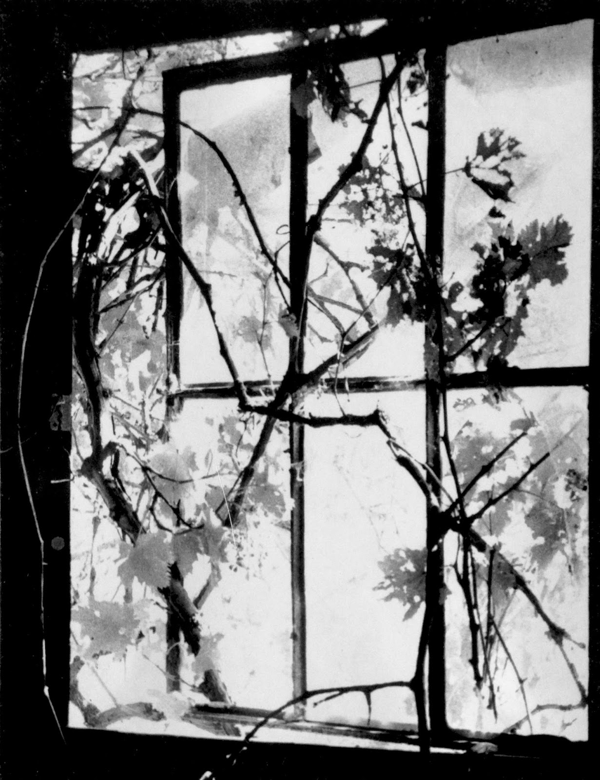 what was the middle thing?: painting and drawings