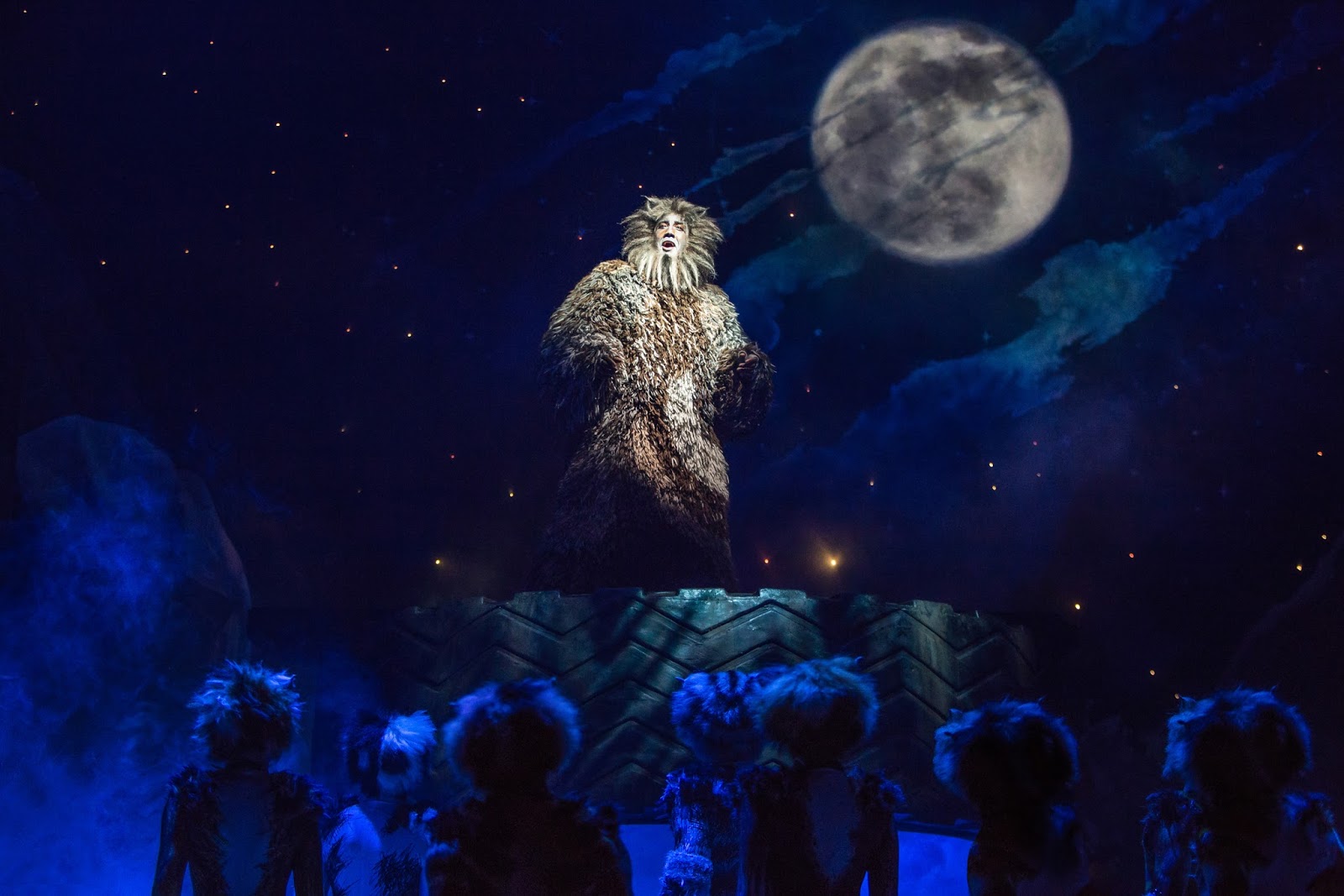 Reflections in the Light: Broadway Theater Review: CATS Reflections in the Light: Broadway Theater Review: CATS