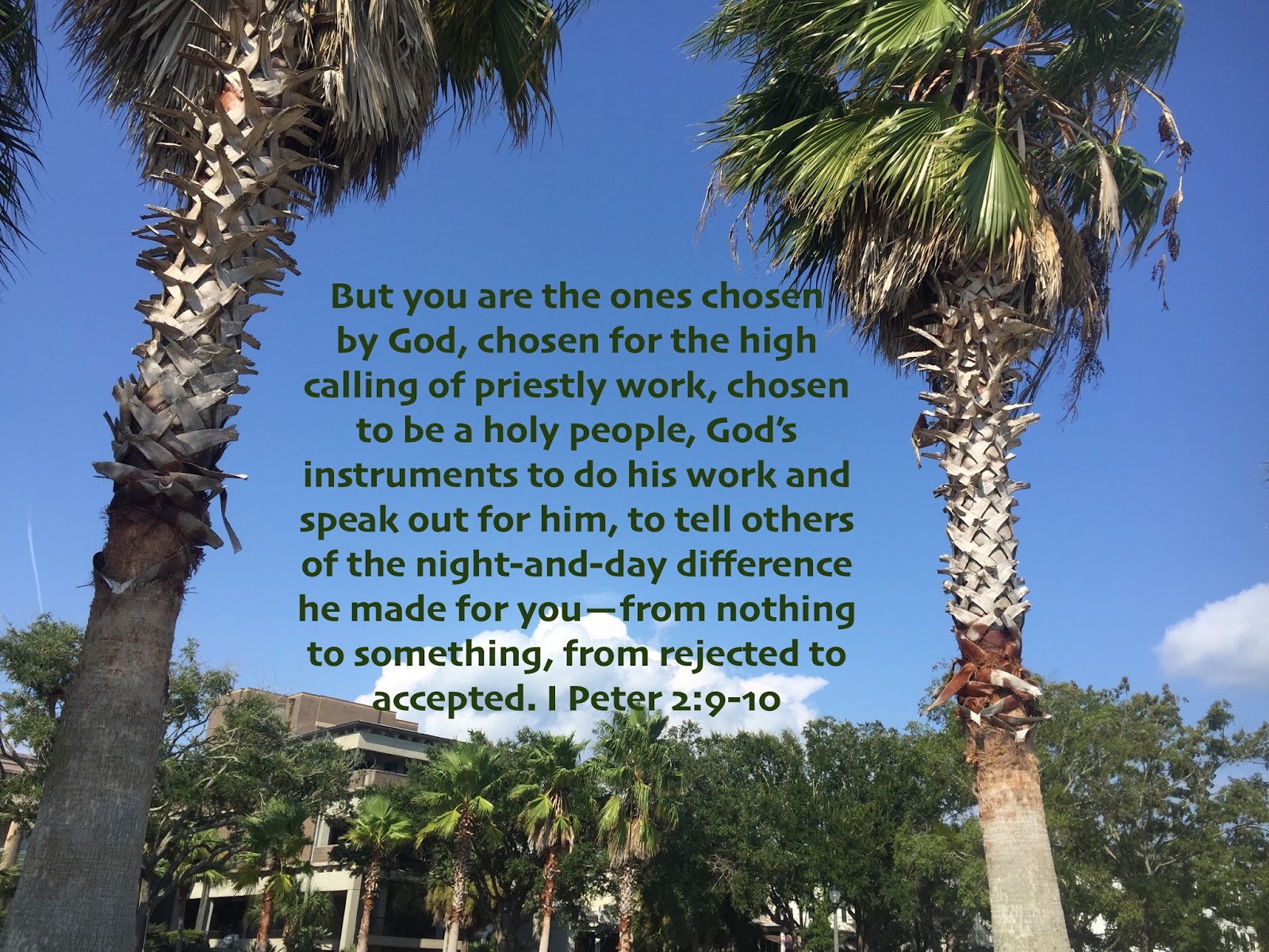 My Strength I Peter 2 9 10 My Hope Is In You Lord my-strength-i-peter-2-9-10-my-hope-is-in-you-lord