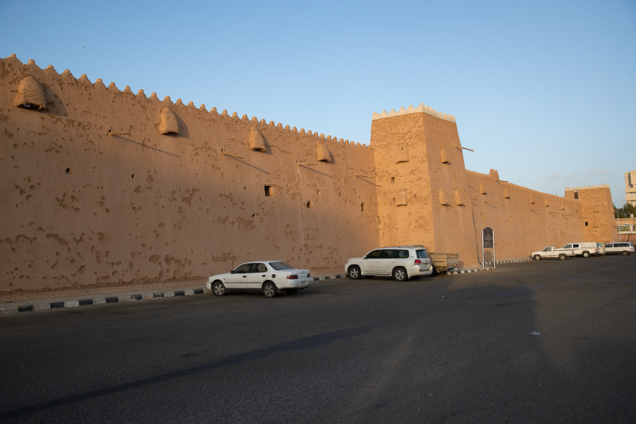 Birds of Saudi Arabia: Al Qishlah Palace – Hail