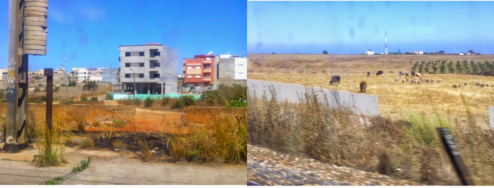 El rinconcito de Philae