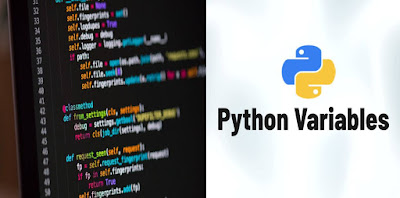 Python Variables - Python Programming