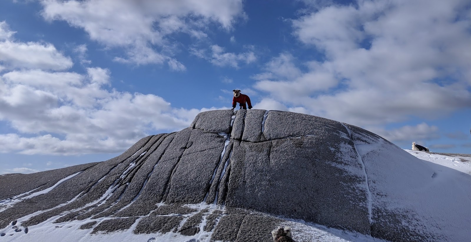 Passage to Sackville.: A bleak and barren place.