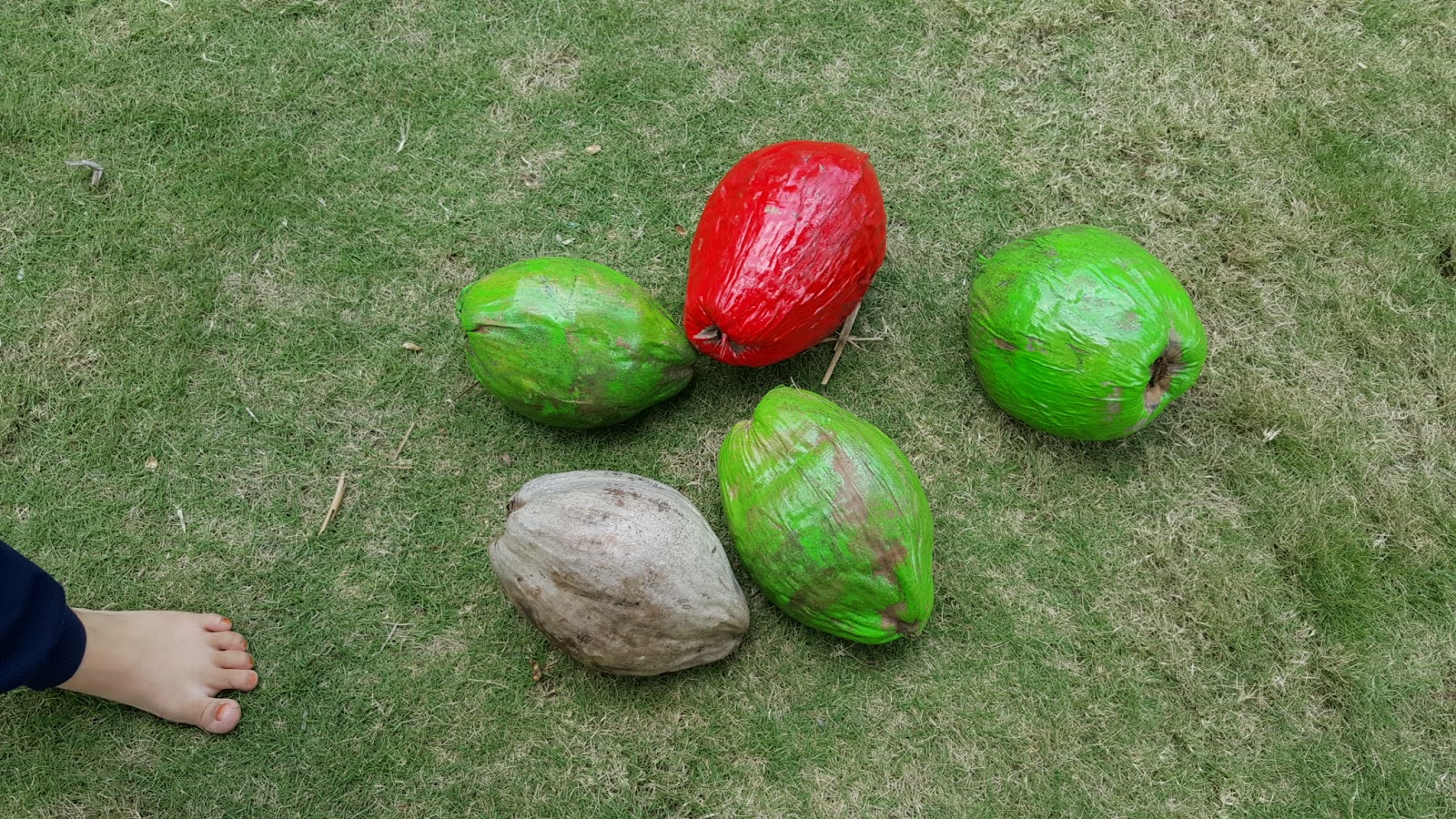 Kuala Selangor Cabin Camp (KSCC): WARNA - WARNI DI KSCC