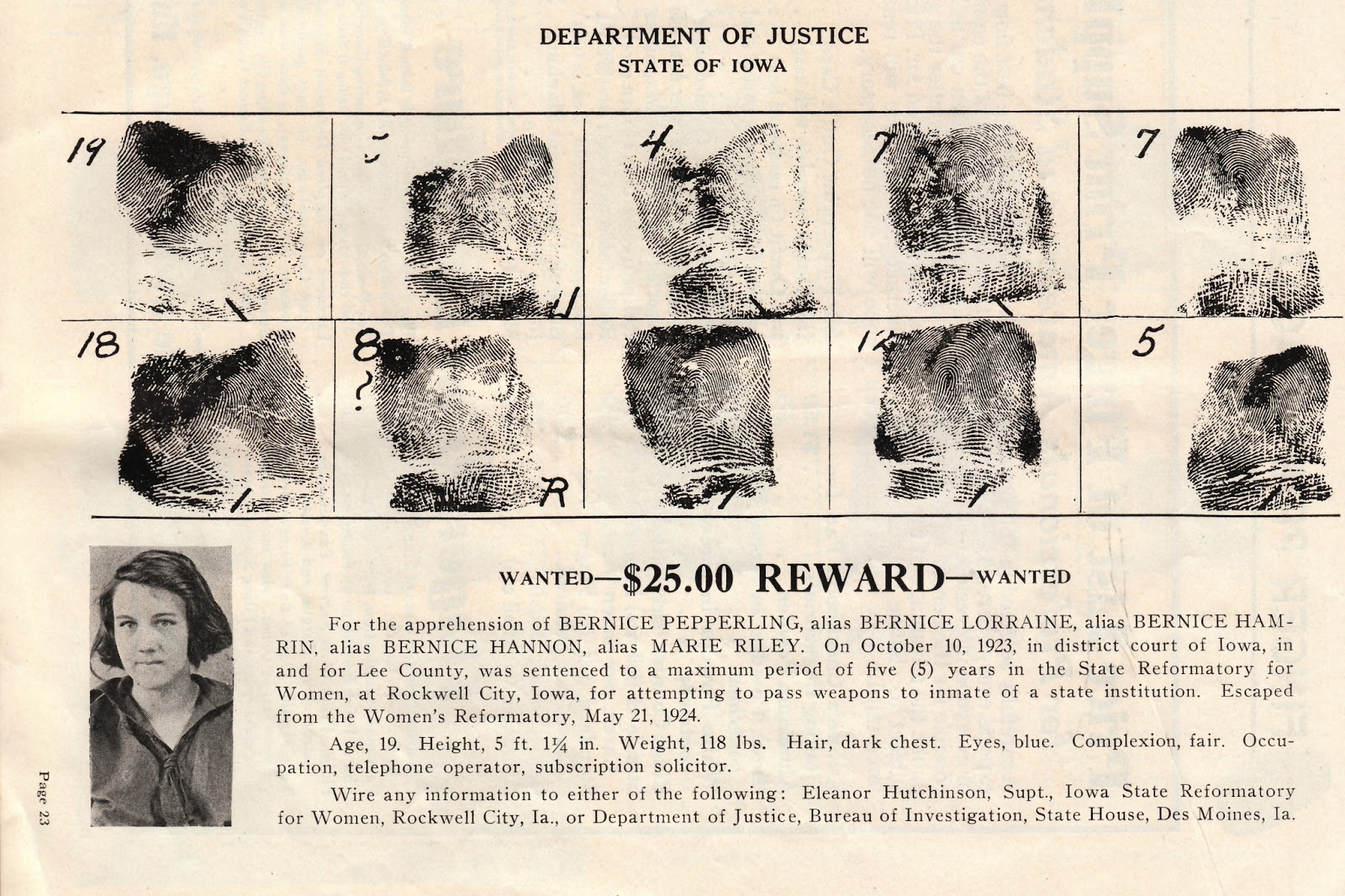 Dull Tool Dim Bulb: Whorls DNA Fingerprints and Bernice Pepperling