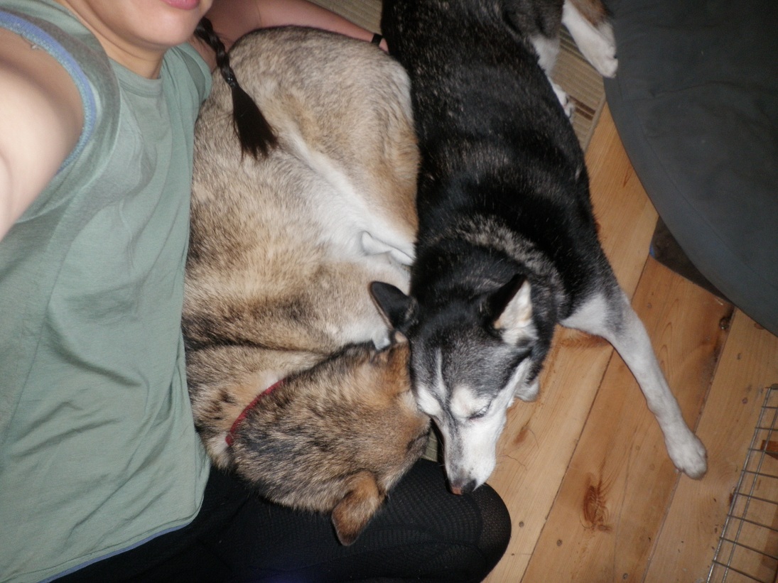 From the Silicon to the Tanana Valley: Dashing through the snow...