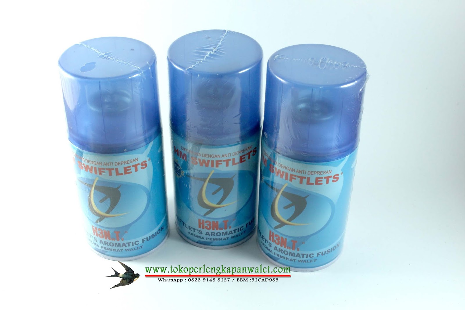 RAHASIA PETANI WALET AGAR BURUNG WALET CEPAT MENGINAP DAN BERSARANG ...