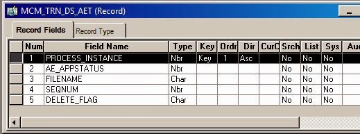 Doug's Developer Toolbox: The PeopleSoft State Records and Run Controls