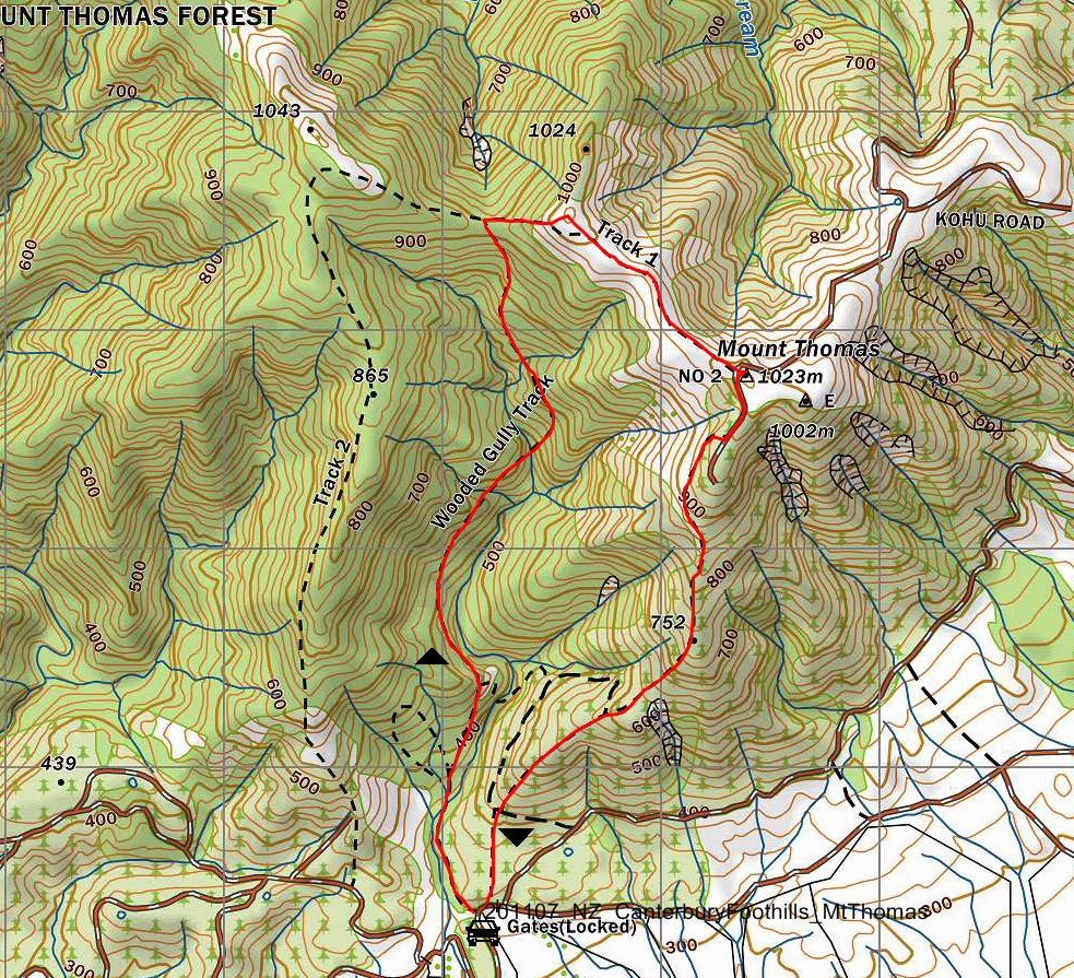 ScottC: Mt Thomas via Wooded Gully Track