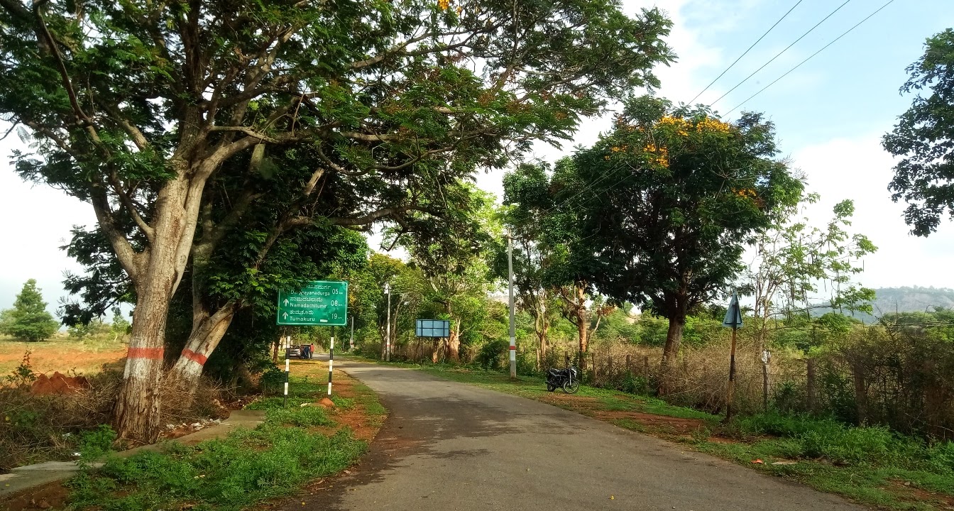 Drive + Trek - Devarayanadurga (DD hills)