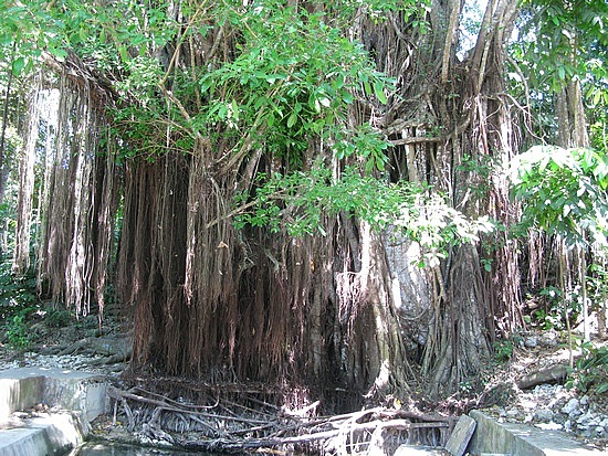 UN KAPRE ... A MALACANANG