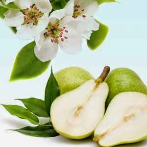 Aesthetic Candles: Today's featured scent is Anjou Pear Blossoms