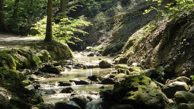Pfannenstiel Wanderblog: Erlenbacher Tobel (Forch -> Erlenbach)