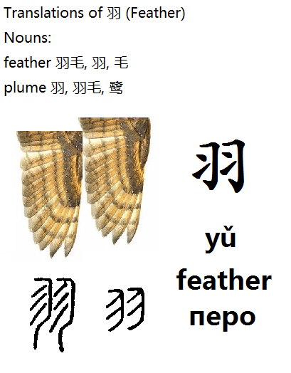 China Grammar: Feather 羽