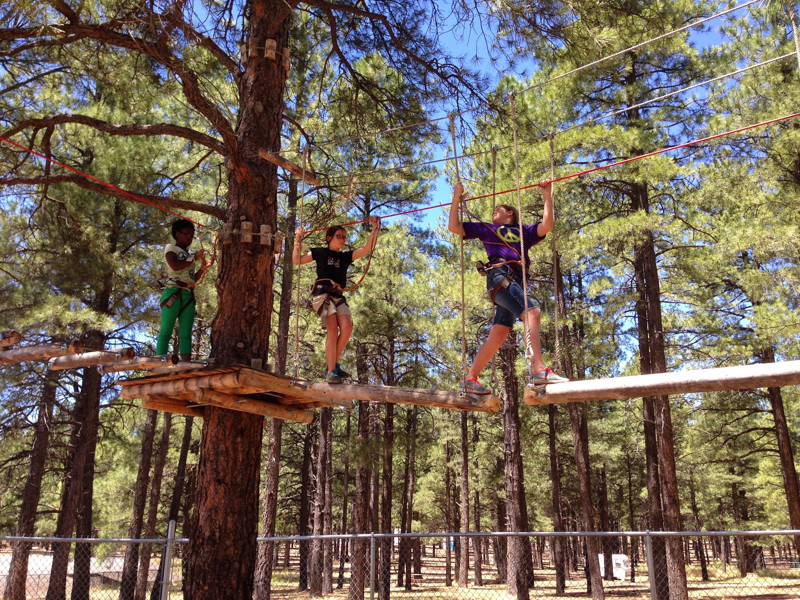 Arizona Field Trip Mom: Flagstaff EXTREME Adventure Course