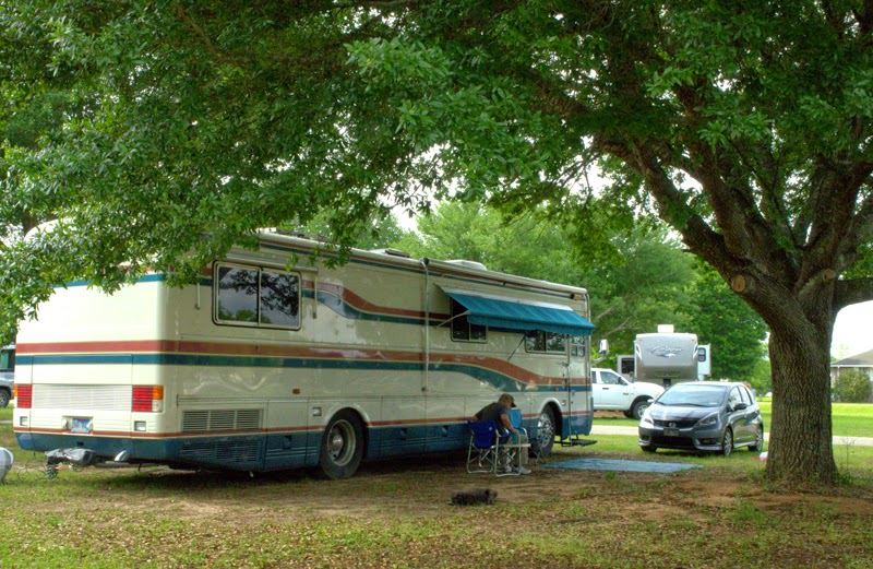 94 Bluebird BMC 37': 1994 Bluebird BMC 37' Motorcoach For Sale