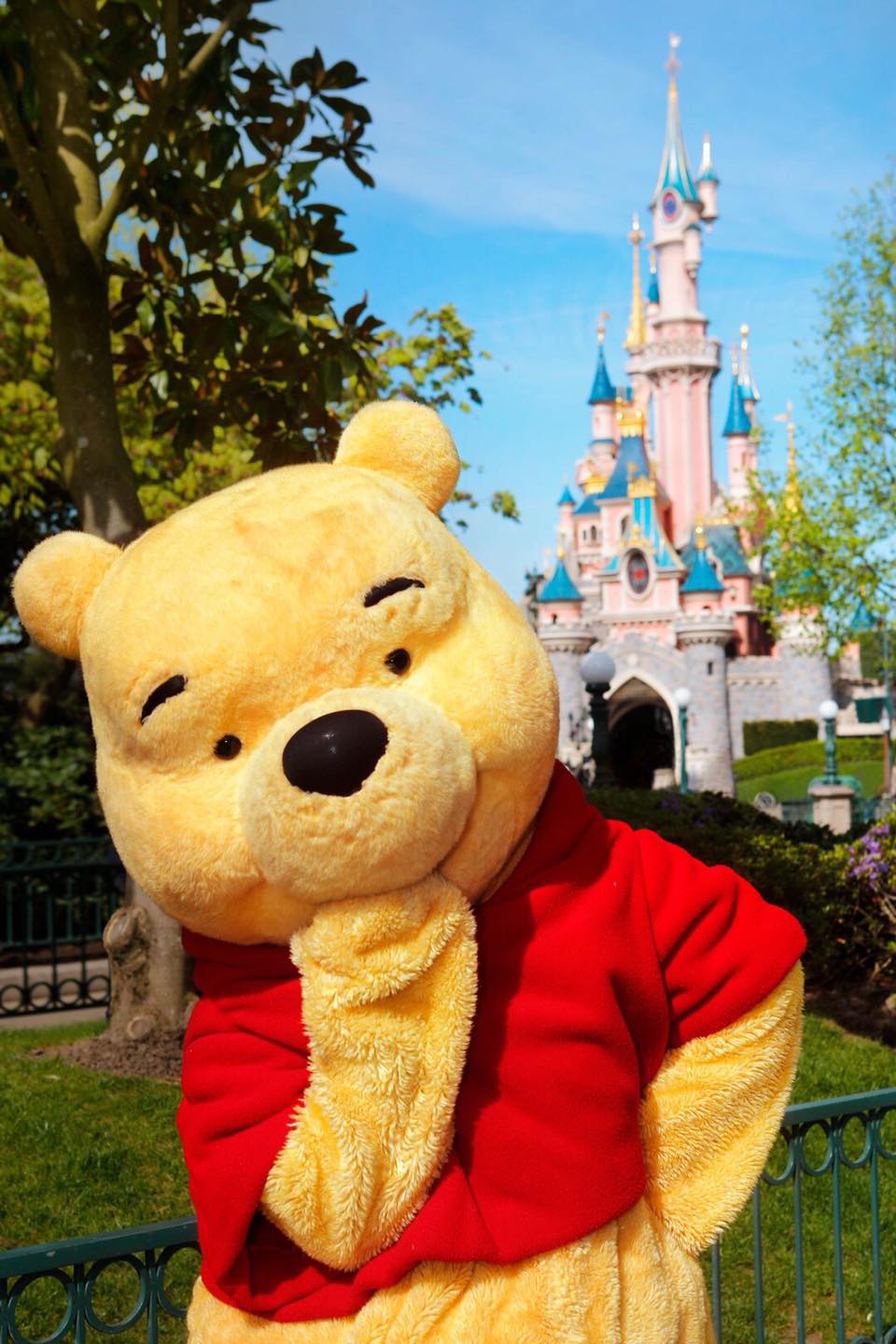 Happy 95th Birthday, Winnie the Pooh! 🍯🐝 | Disney Magical Kingdom Blog