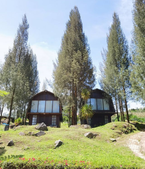 Villa Mari Pro Lau Kawar : Wisata Keren yang Lagi Viral di Sosial Media ...