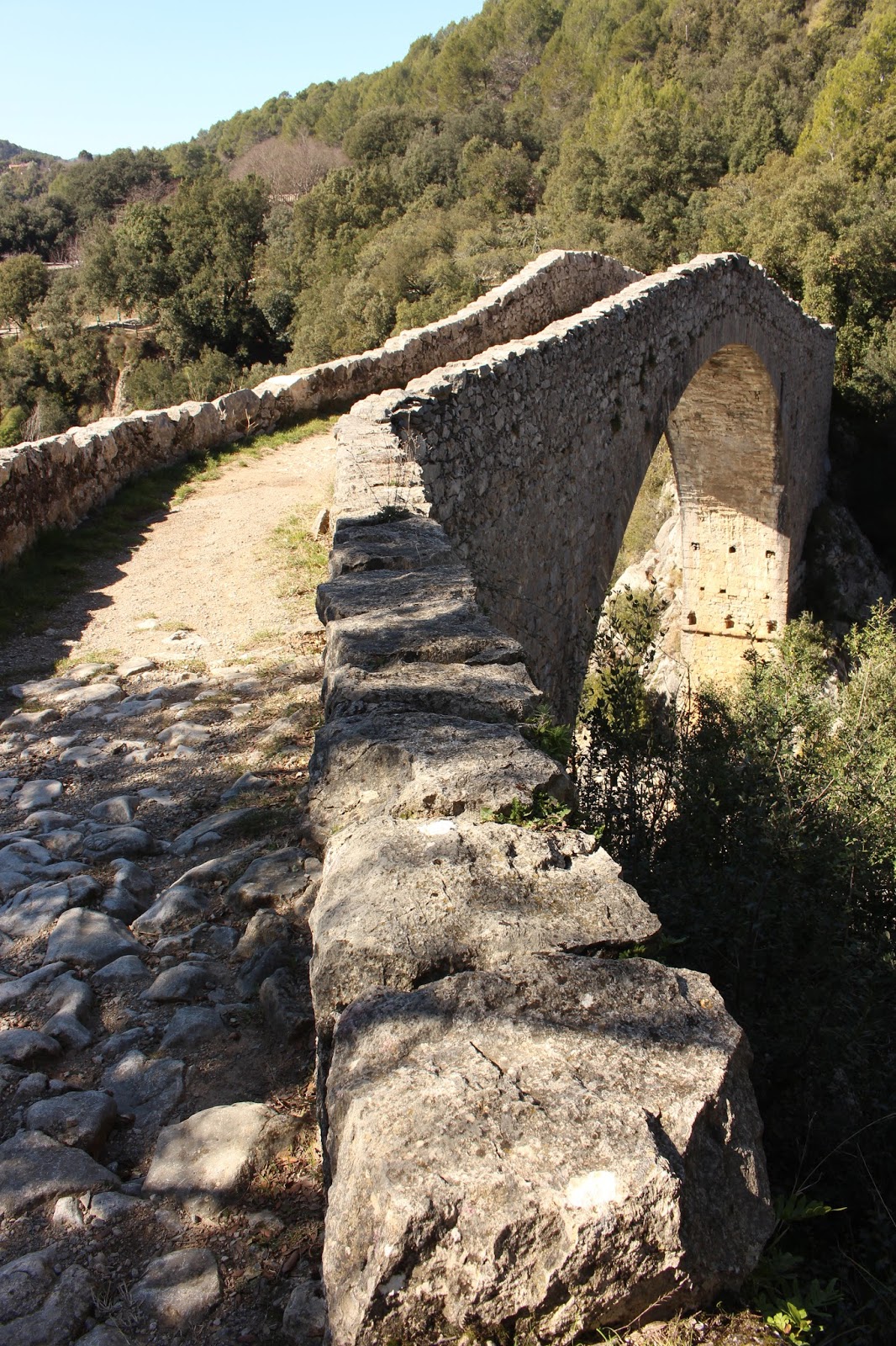Fotografias y excursiones.: PONT DE LLIERCA (GARROTXA) GIRONA