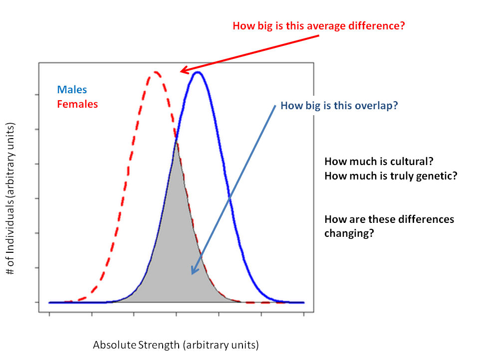 The Flamboyant Introvert: Biological based differences in strength by ...
