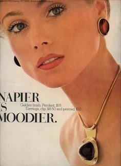 Evolution Revolution: The Napier Co: A Complete History