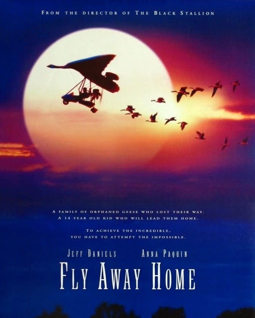 The Spirochaete Trail: Fly Away Home (aka Your House Is On Fire And ...