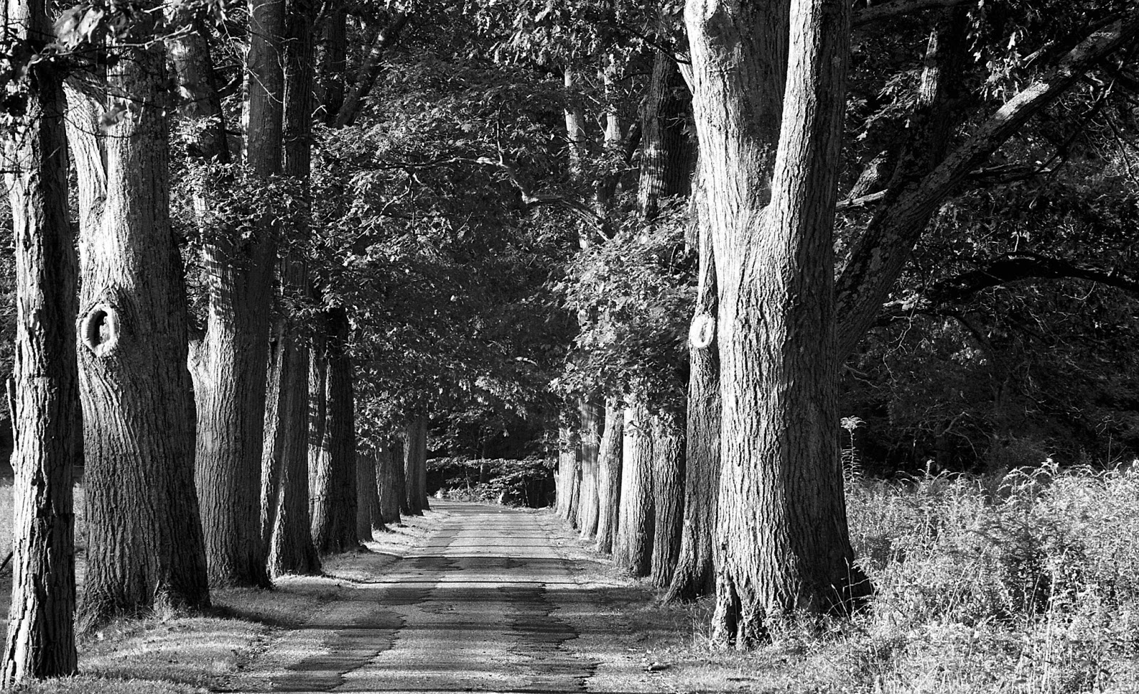 Random Camera Blog: September 2019