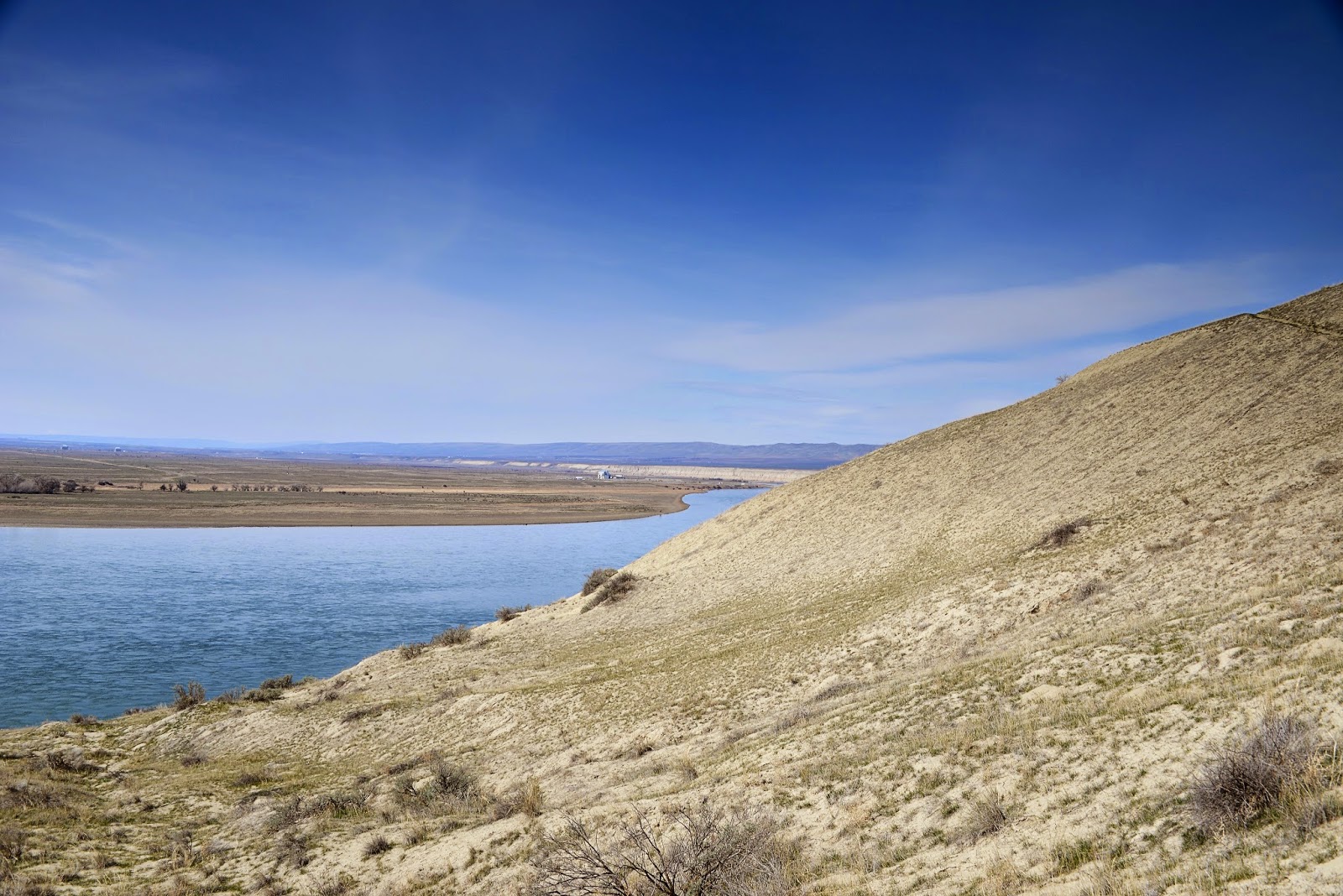 White Bluffs- North Slope, Eastern Washington