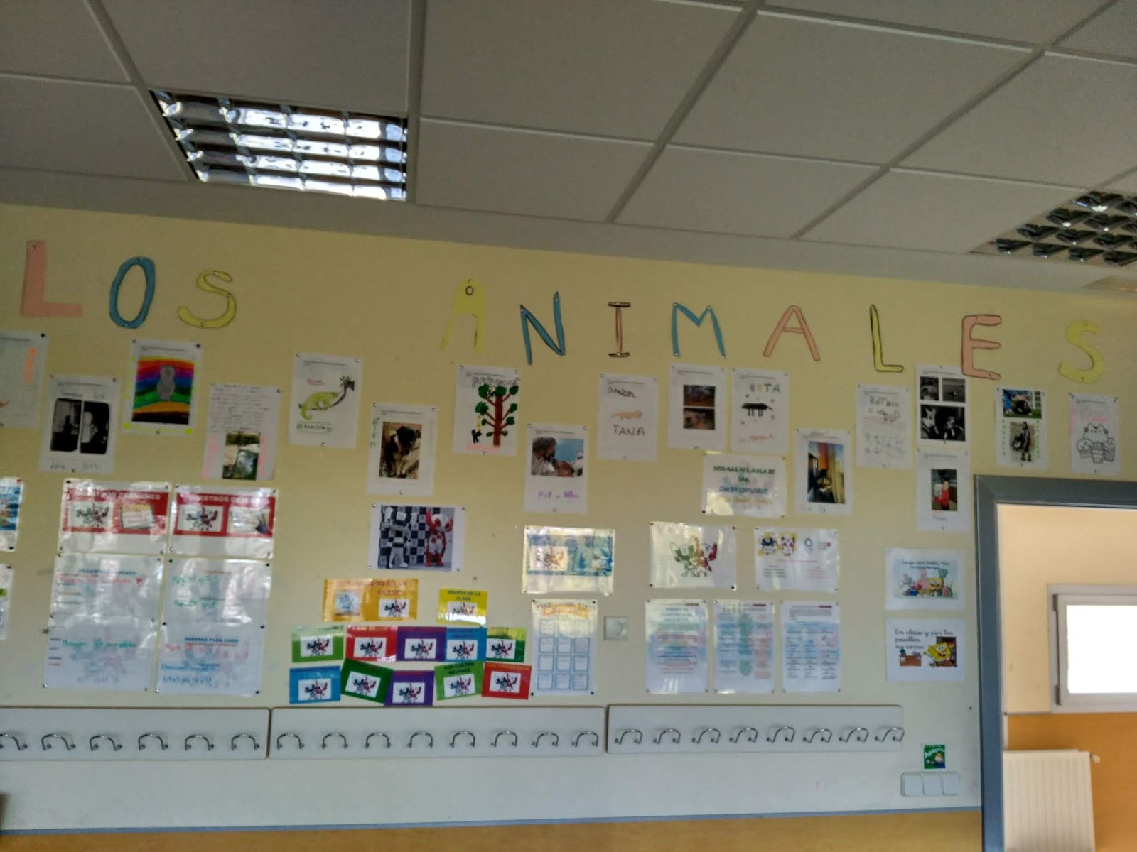 Descripción de animales y de nuestras mascotas