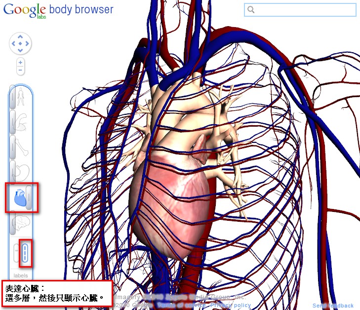 史貝爾之BioiT: Body Browser_3D人體透視瀏覽