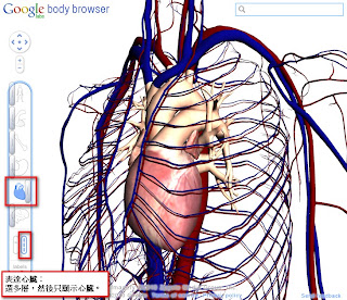 史貝爾之BioiT: Body Browser_3D人體透視瀏覽