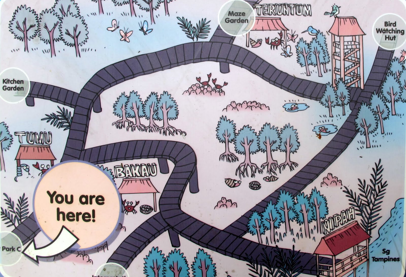 With Kids, We Go...: Pasir Ris Mangrove Boardwalk