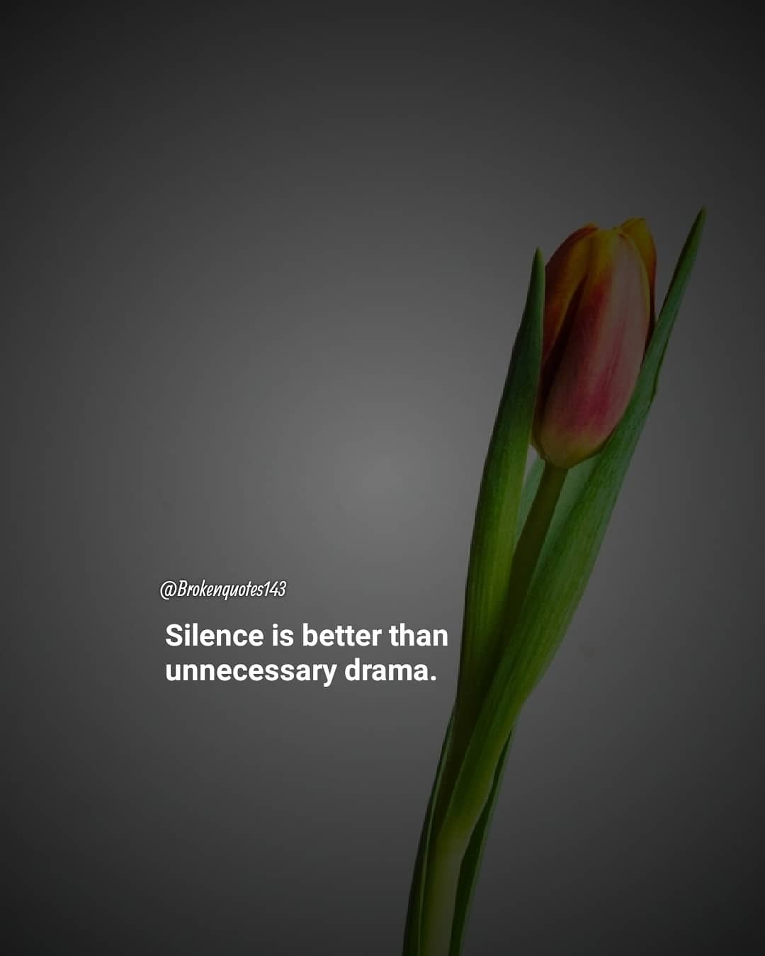 [120+] Broken Heart Quotes, Sad Quotes