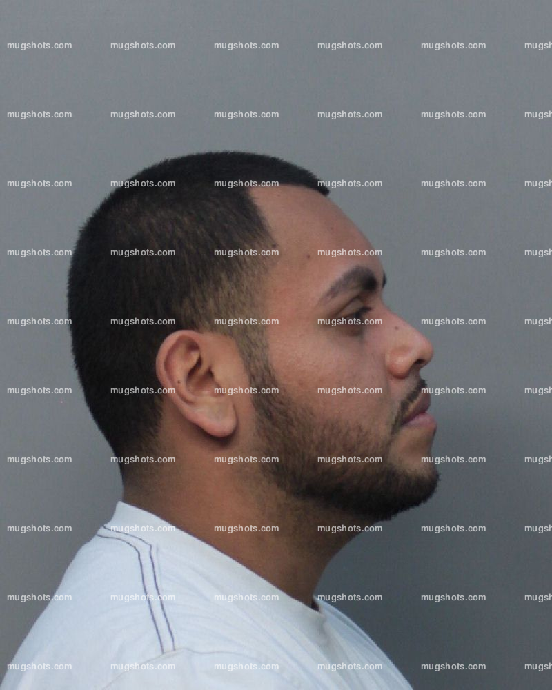 Miami Dade Florida Mugshots: Mugshot David Castillo