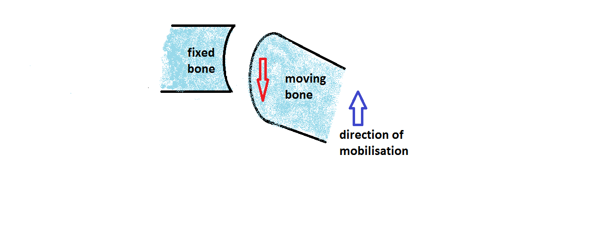 All about physiotherapy: Concave Convex Rule/ Kaltenborn's Concave ...