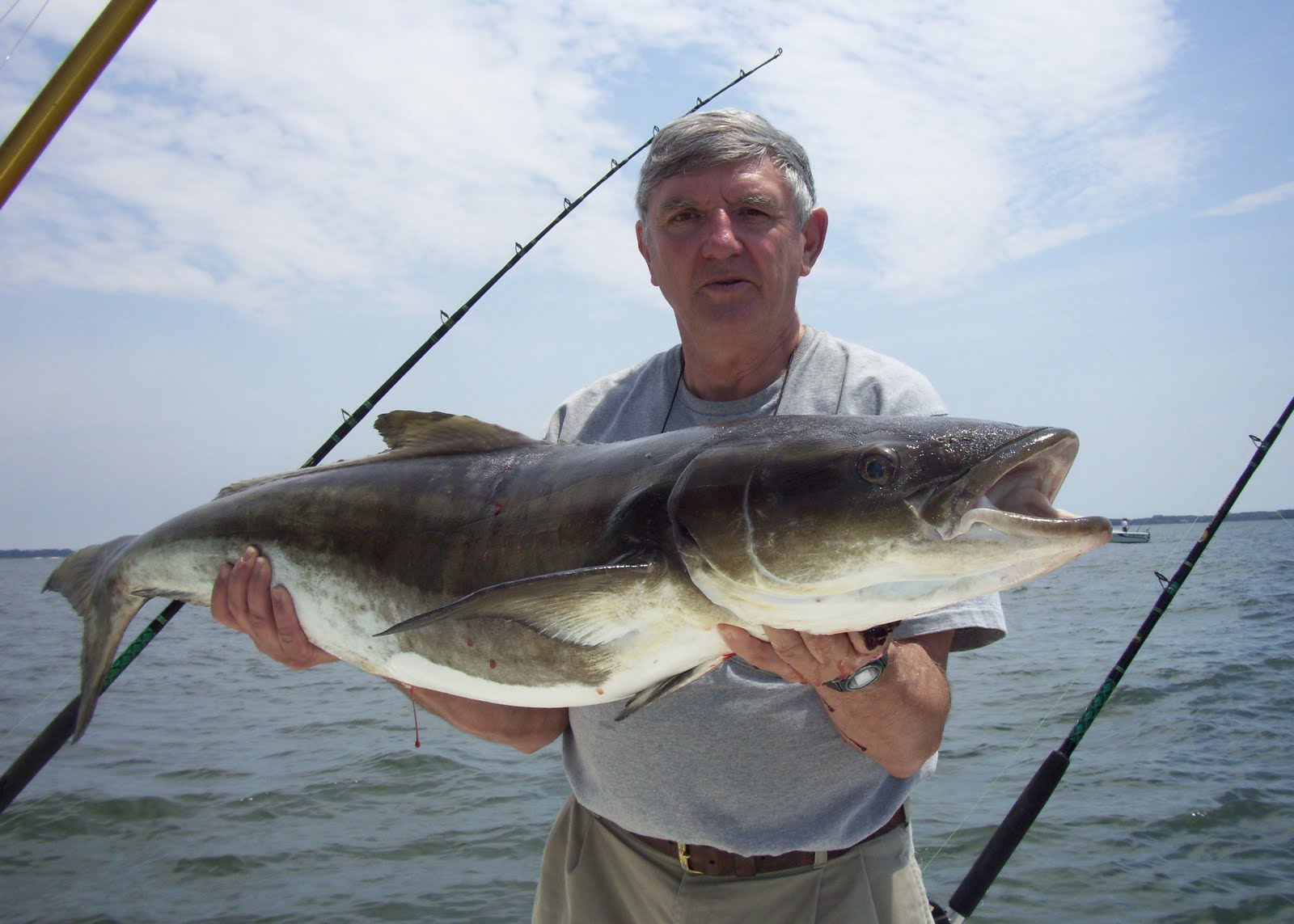 BNKJ Angler: BNKJ friend David Dubose catches a huge beautiful cobia in ...
