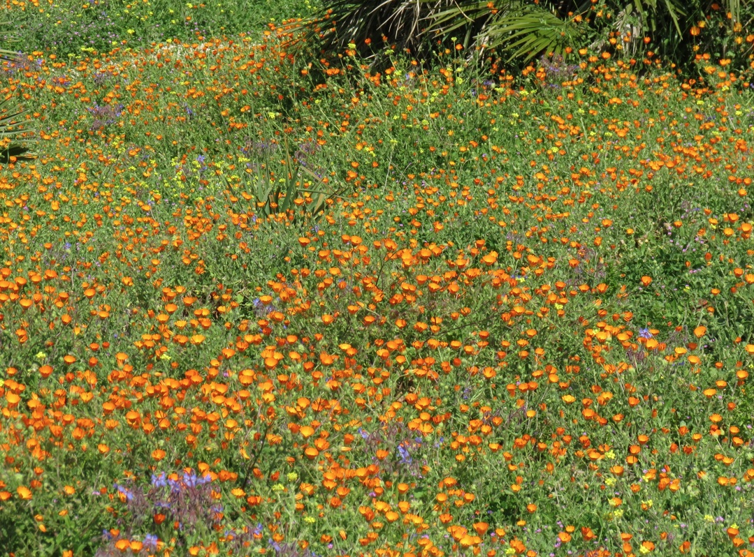 One way to Sweden - Il blog di due italiani in Svezia: Vacanze italiane