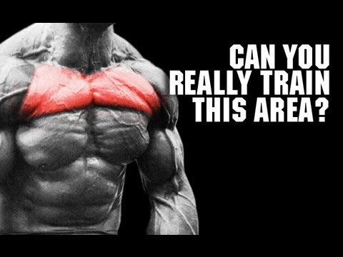 How to get a BIGGER UPPER CHEST