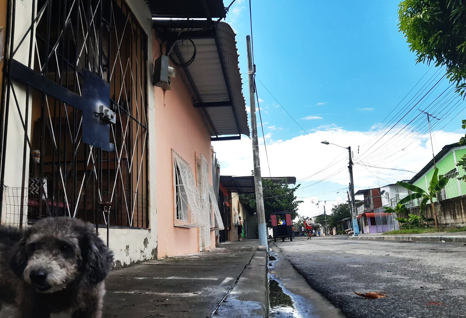 Cifras / Realidad - Solidaridad Guasmo Sur, COVID-19