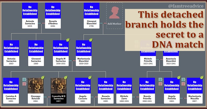 Fortify Your Family Tree: Is This the End of DNA Matches?
