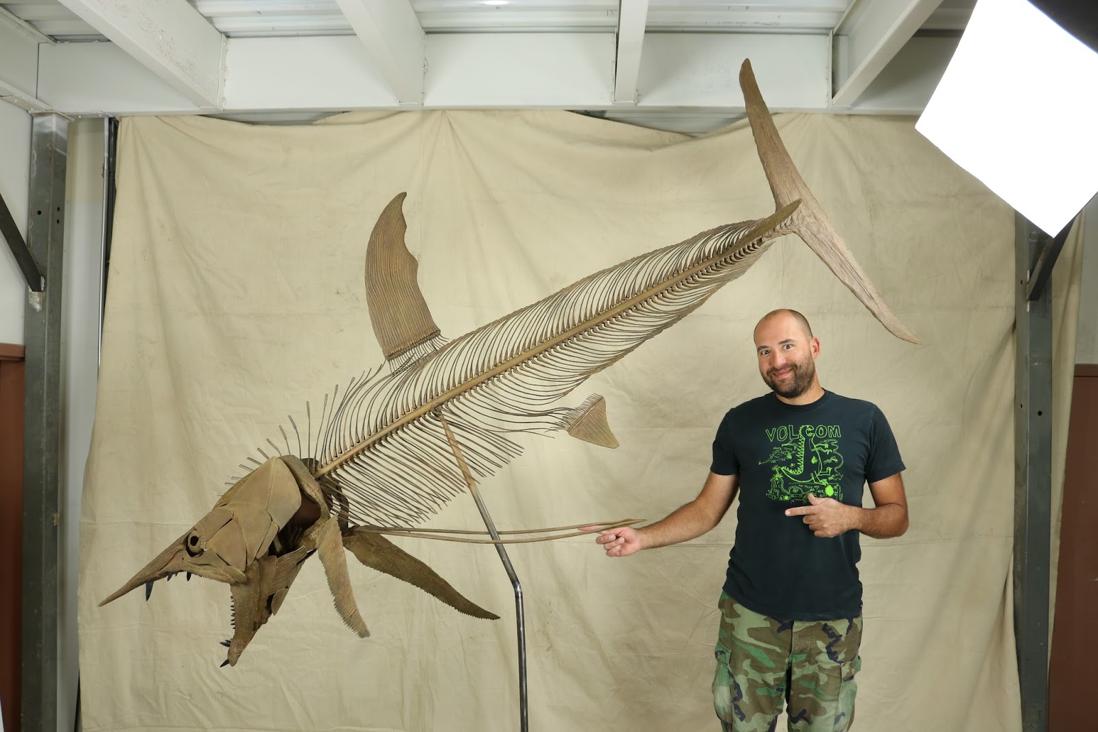 RMDRC paleo lab: Protosphyraena: Like a Swordfish Made Babies With a ...