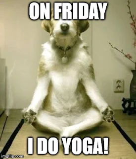 40+ Hilariously Funny Yoga Memes