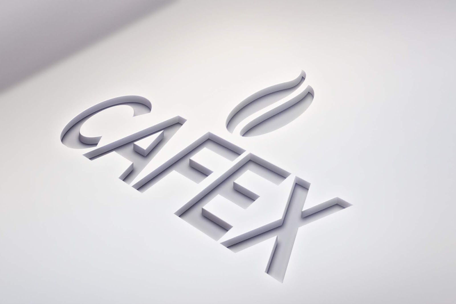 Blogfólio | Robert Celeghin . art director: 2019