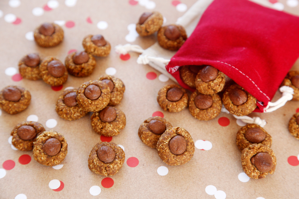 Dalmatian DIY RECIPE Blackstrap Molasses And Coconut Carob Kisses dalmatian-diy-recipe-blackstrap-molasses-and-coconut-carob-kisses