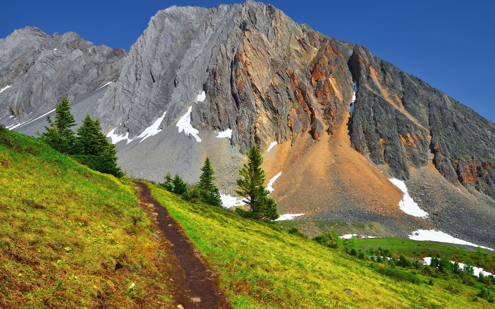 HD COMPUTER WALLPAPERS FOR FREE: Nature HQ Wallpapers 1920x1200