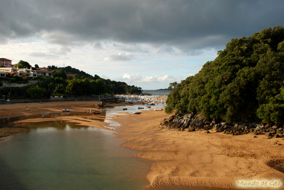 Ecosistemas Colombianos: Estuarios en Colombia