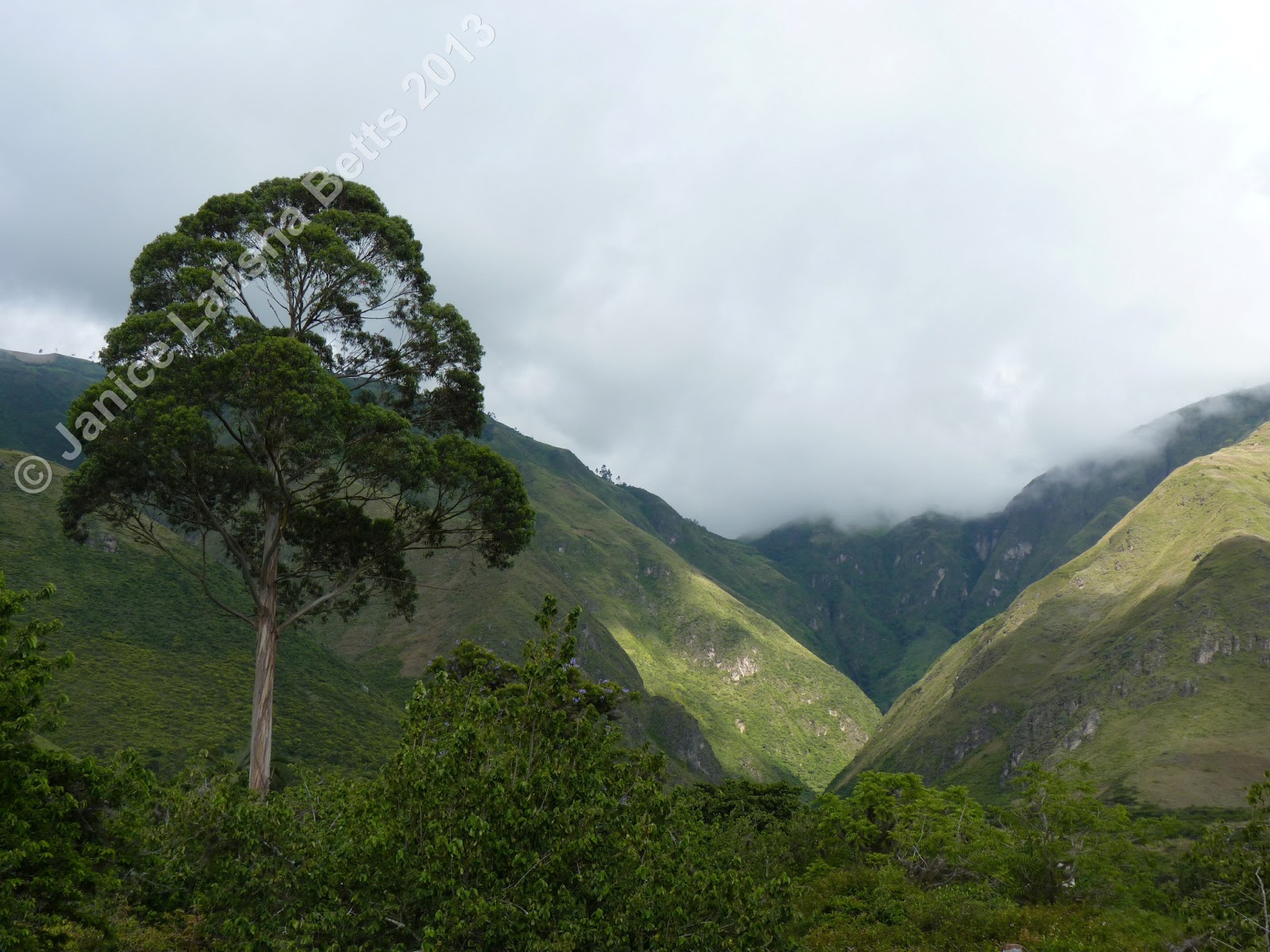 Janice Latisha Betts